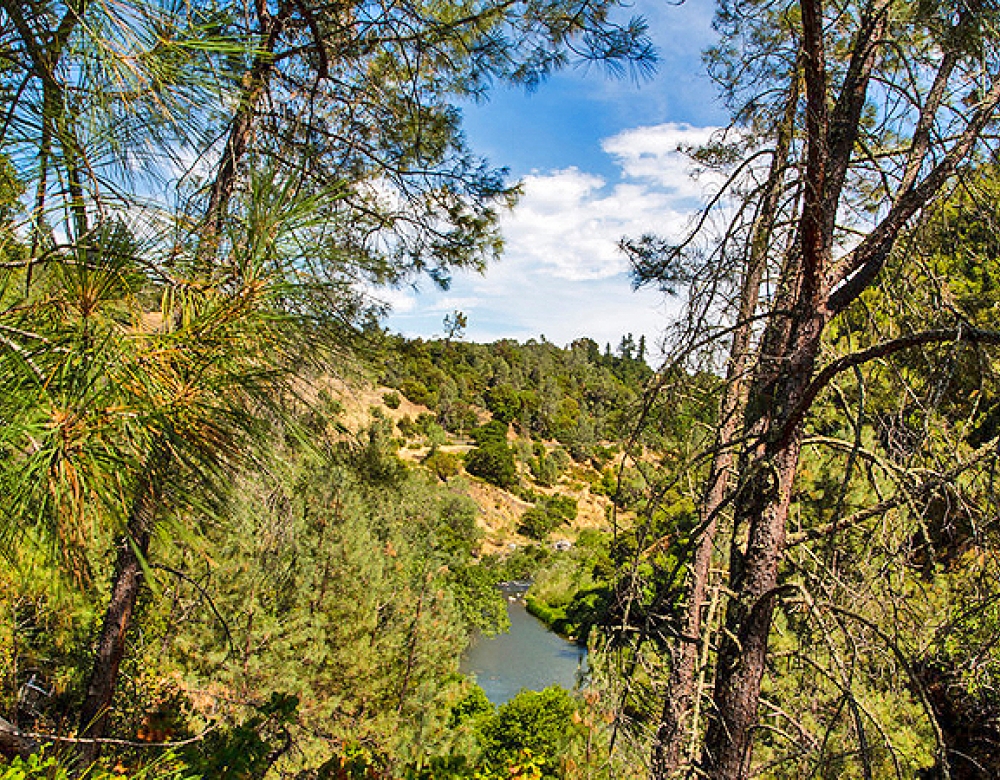 Russian River RV Resort & Campground