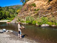 Russian River RV Resort & Campground