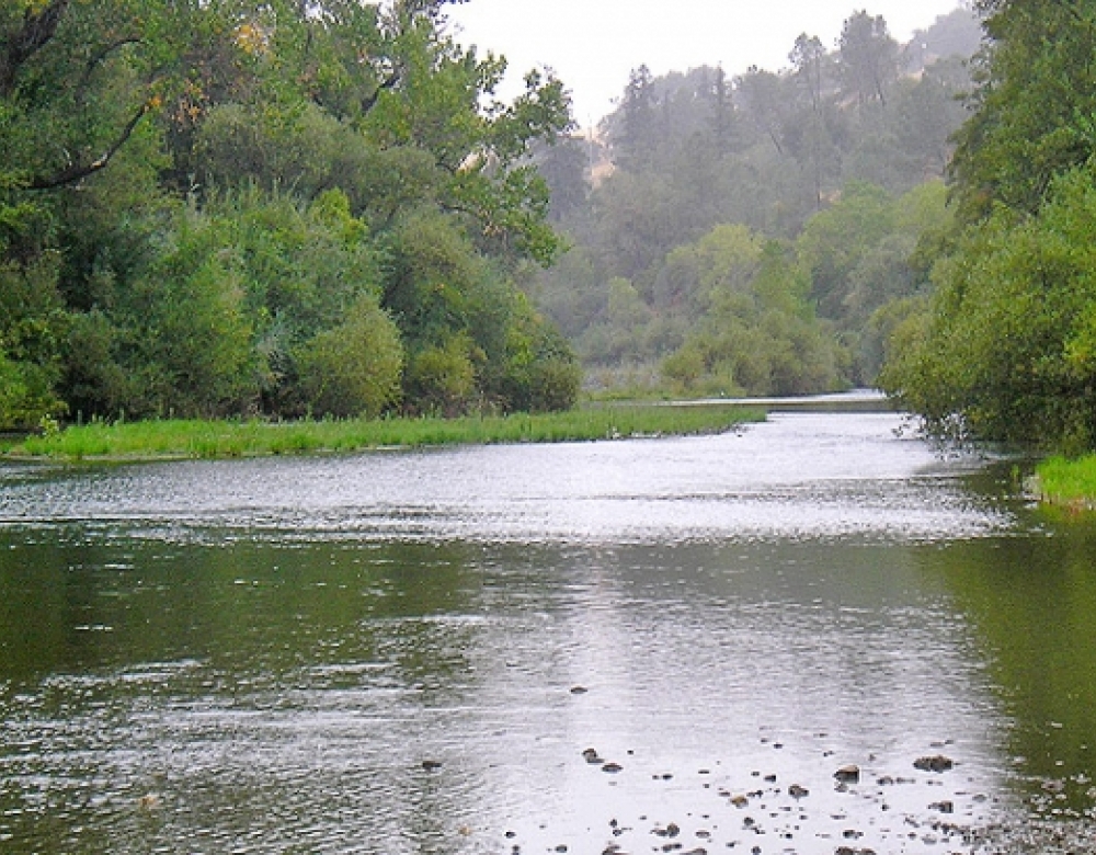 Russian River RV Resort & Campground