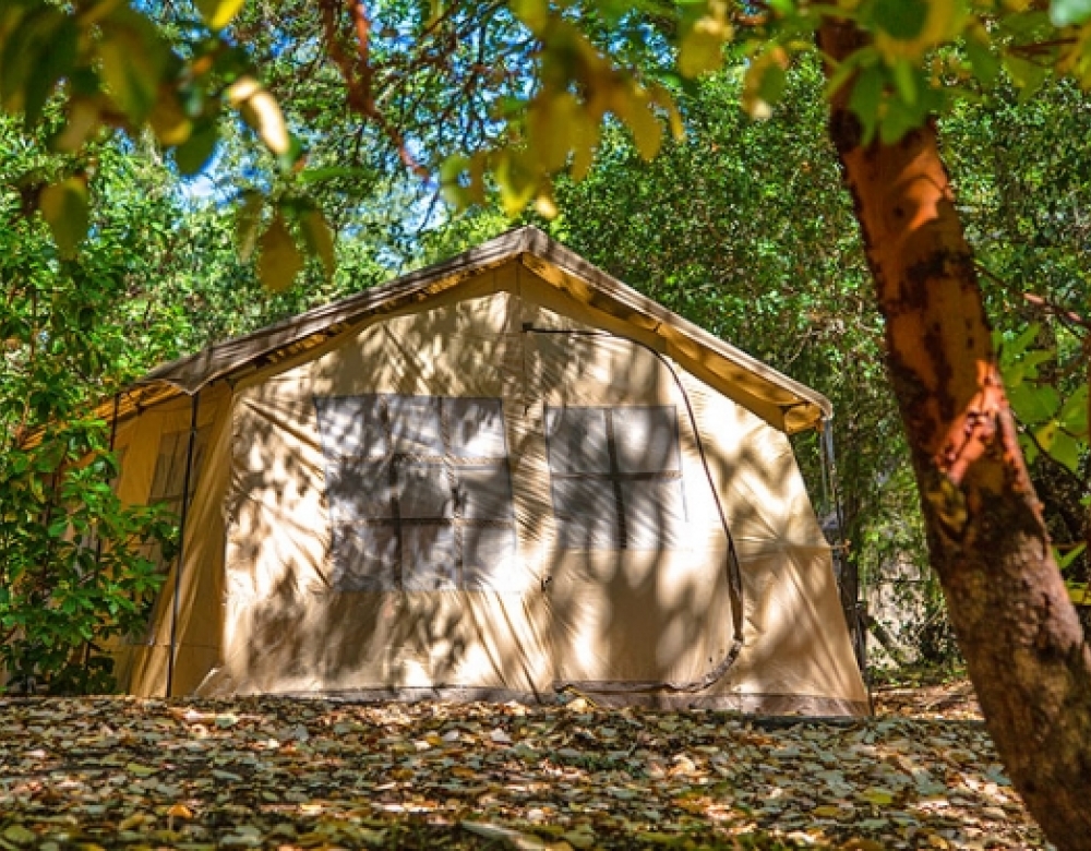 Russian River RV Resort & Campground