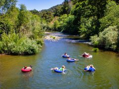 Russian River RV Resort & Campground