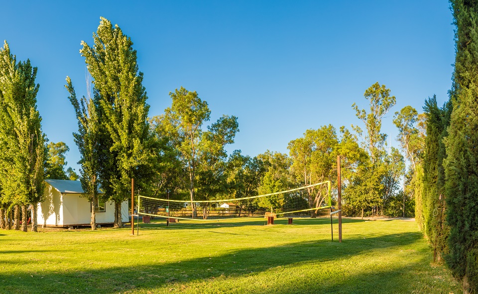 Vineyard RV Park - Camp California