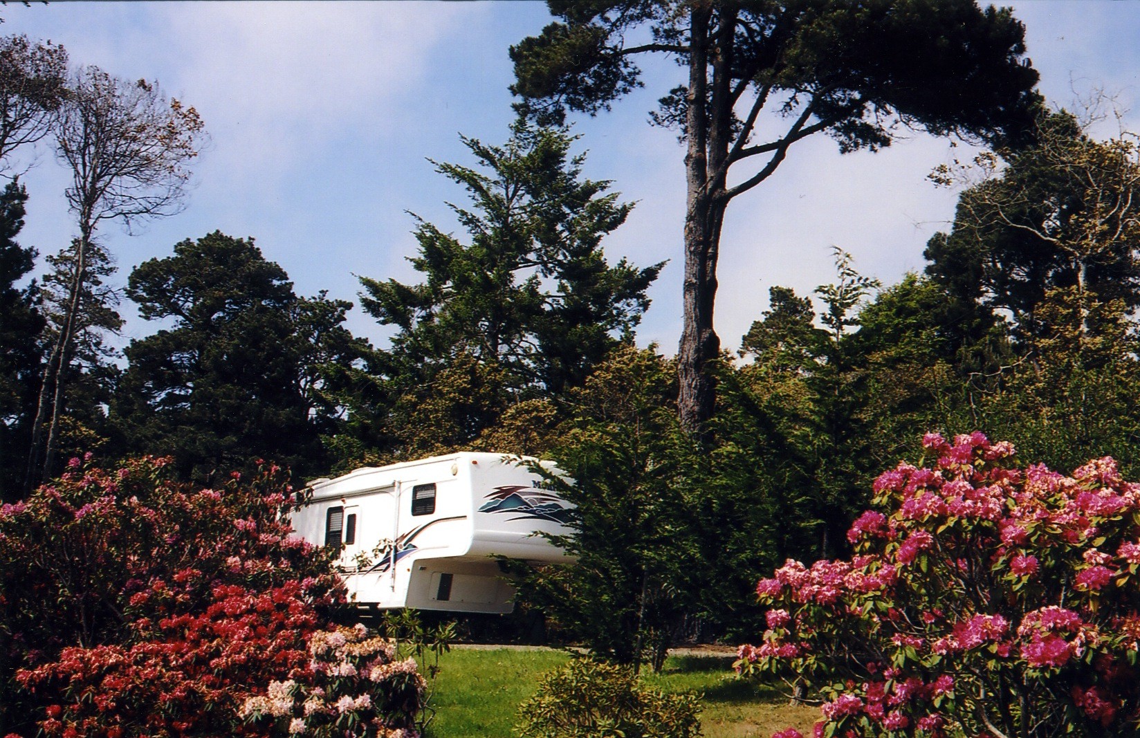 Pomo RV Park & Campground - Camp California