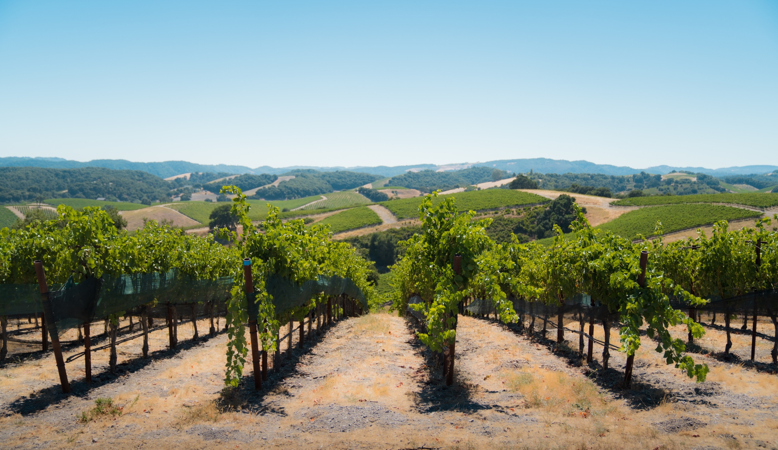 Explore SLO CAL - Camp California