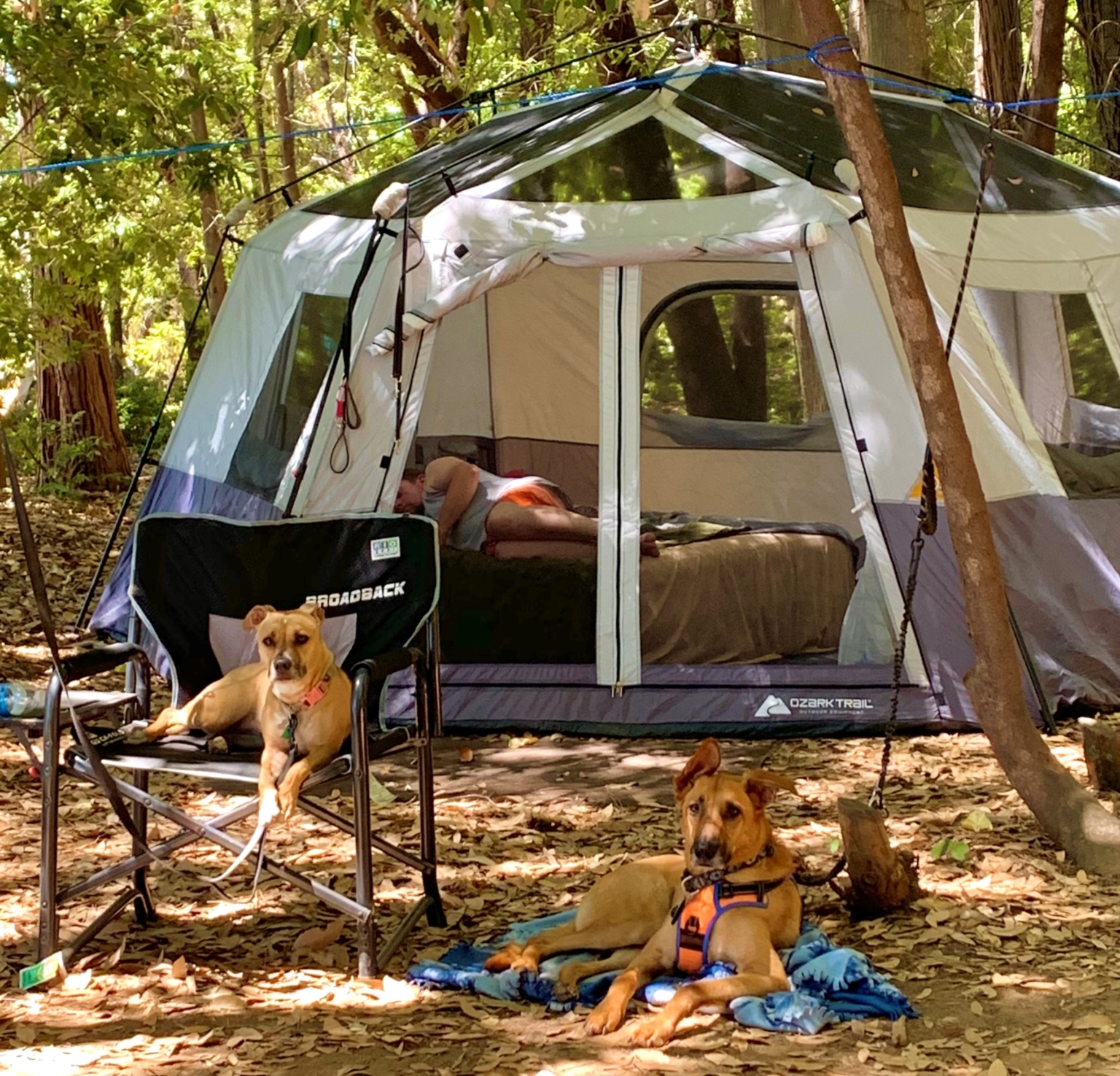 Tales from the Campsite - Camp California