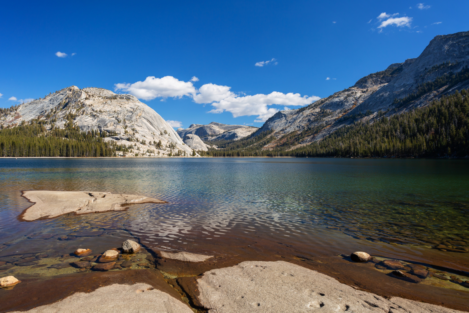 Lower Unit Lubricant GL-5 Sierra Premium Lower Unit Gear Lube Oil - GL ...