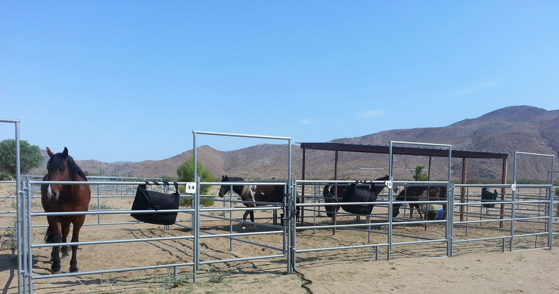 Stagecoach Trails RV Park - Camp California