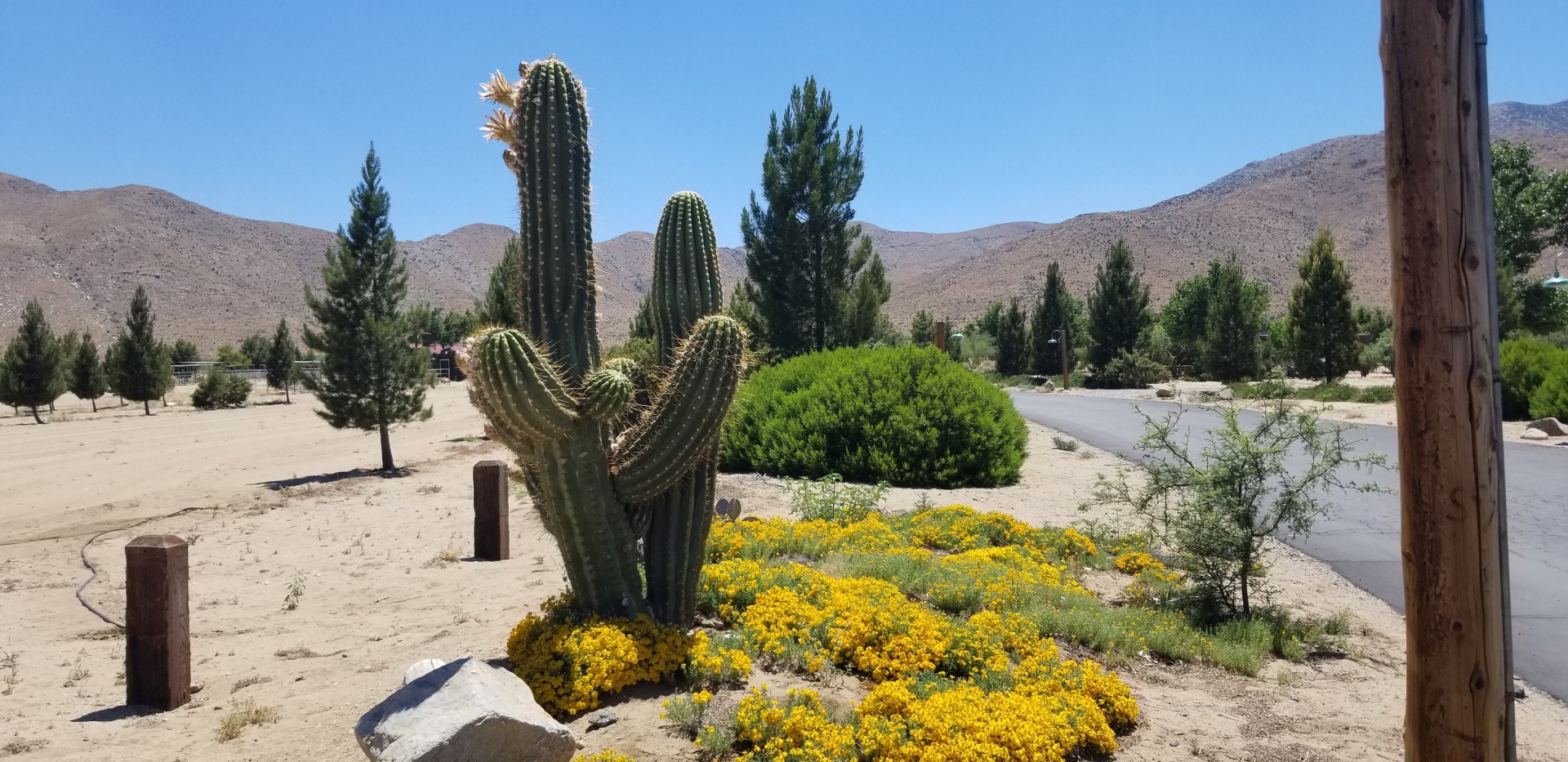 Stagecoach Trails RV Park - Camp California