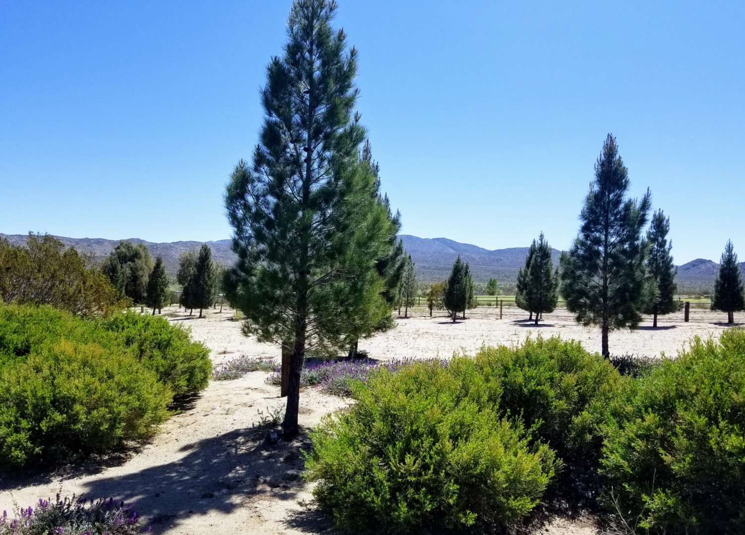 Stagecoach Trails RV Park - Camp California